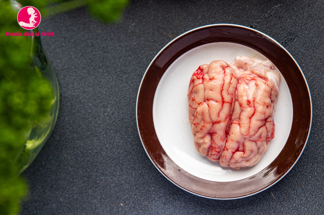 Manfaat Otak Sapi untuk MPASI: Sumber Nutrisi Kaya Protein dan Omega-3